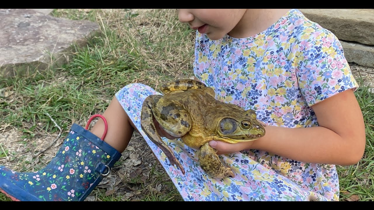 Kids Pond Adventure. Find Worms, Discover a Bullfrog, and catch Fish ...