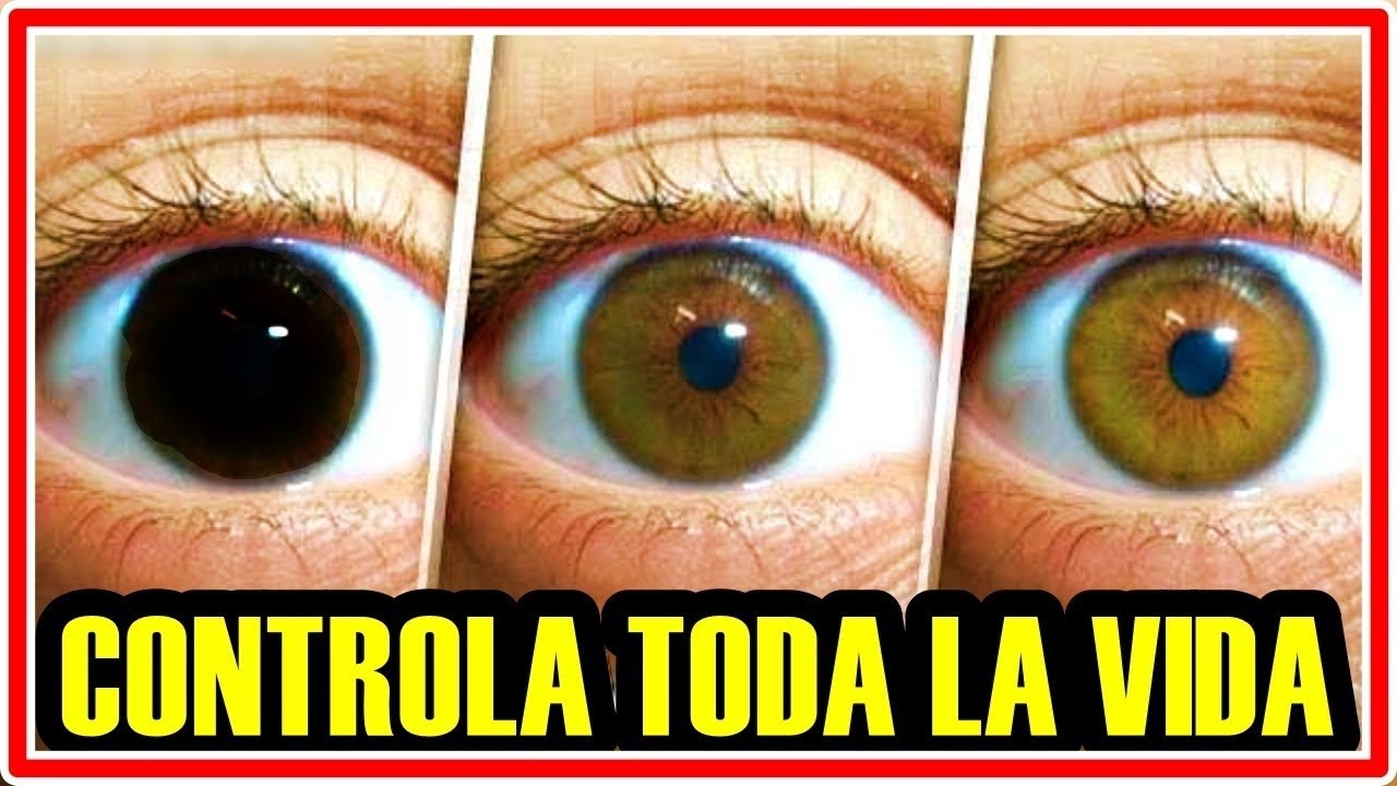BIOKINESIS | EJERCICIOS PARA APRENDER BIOKINESIS - YouTube