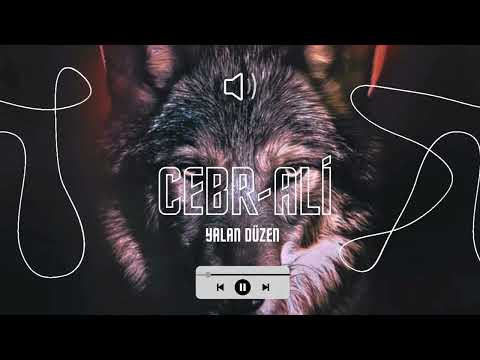 CebrAli - Yalan Düzen
