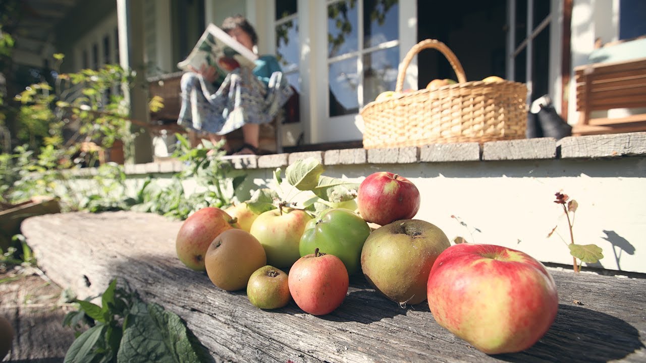 My Southland Story Open Orchard Project - YouTube