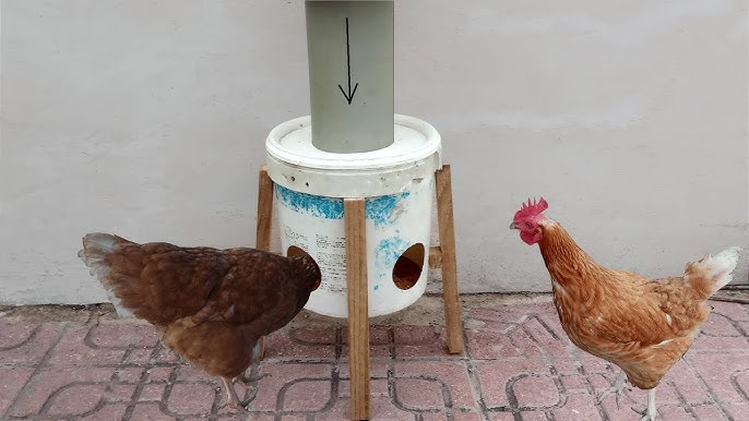Bebedero De Pvc Para Gallinas Casero Comedero Y Bebedero Automático