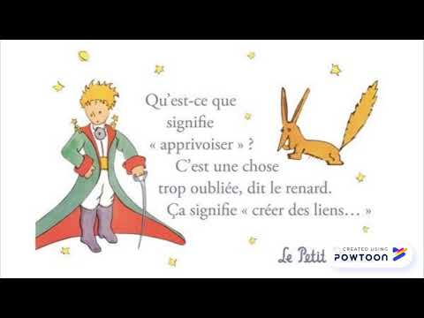 Le Petit Prince (Chapitre XXI) - YouTube