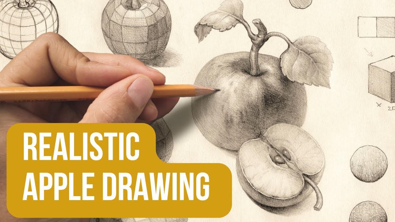 Want to Draw Realistically? Easy Step-by-Step Apple Drawing Tutorial 🍎 ...