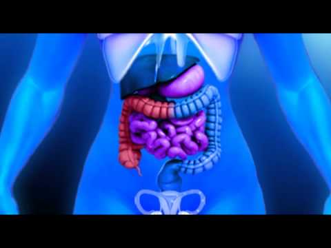 Demo biobactro - YouTube