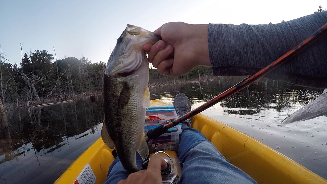 Bass Fishing Backyard Pond - Ep. 1 - YouTube