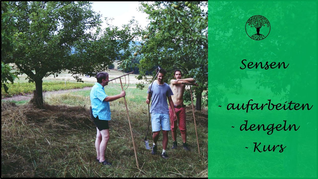 Sensen - aufbereiten, dengeln, einstellen + Einladung zum Sensenkurs ...