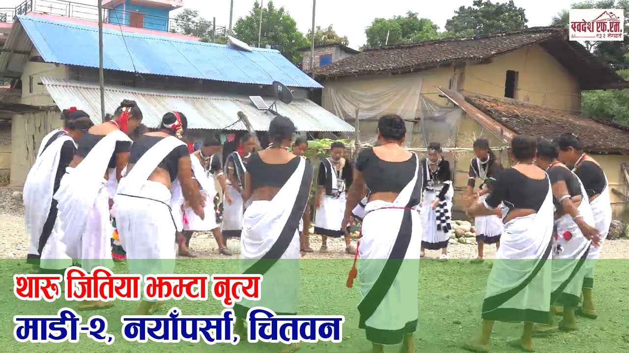 जितिया झम्टा - Jitiya Jhamta | Tharu Cultural Jhamta | Madi-2, Naya ...
