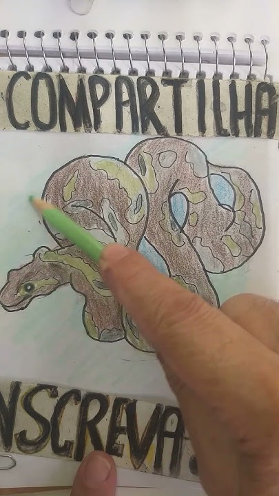 Shakes. Python - YouTube