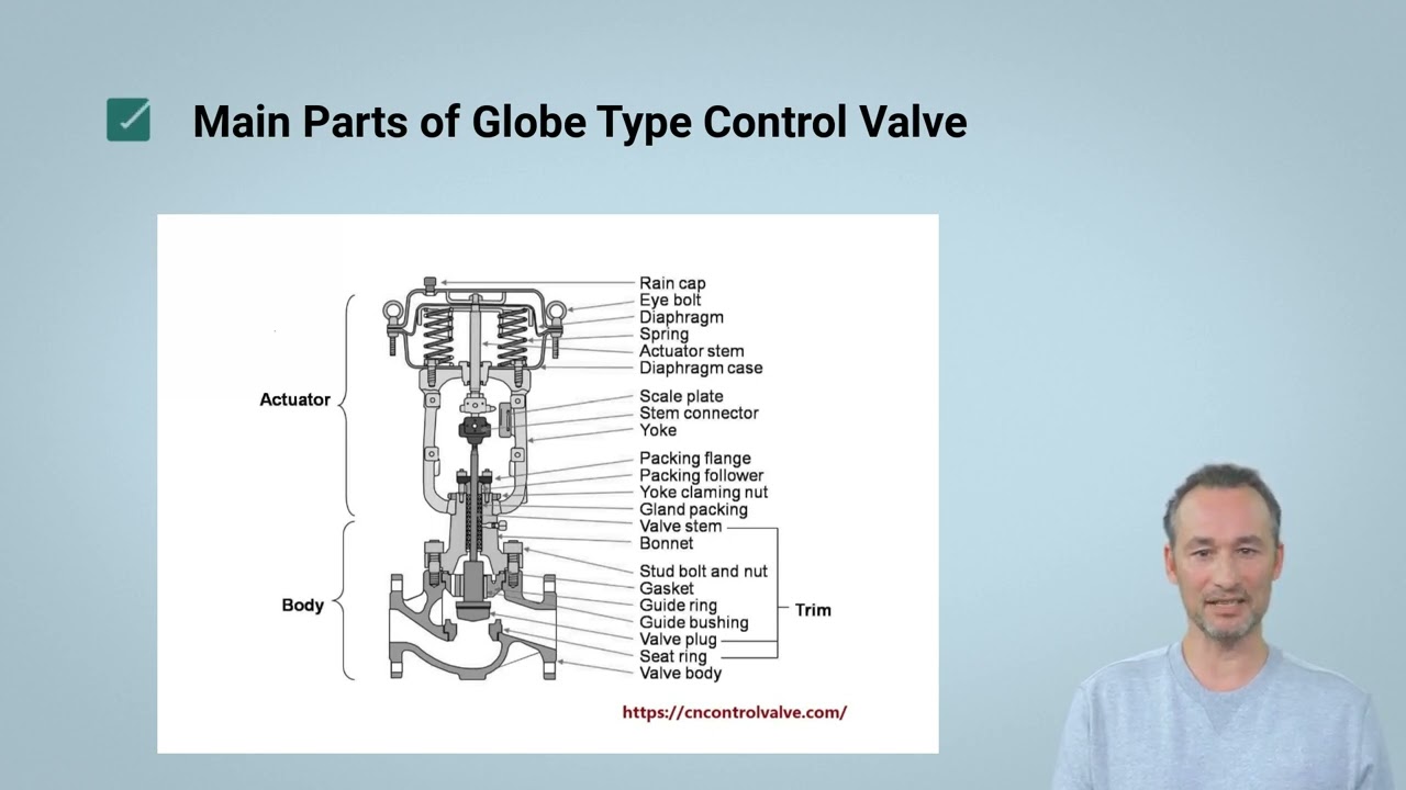 Globe Control Valve Parts