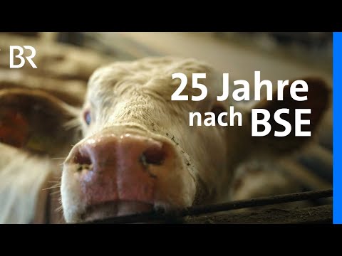 25 Jahre nach BSE-Ausbruch in Bayern: Spurensuche im Landkreis Cham | Landwirtschaft | BR
