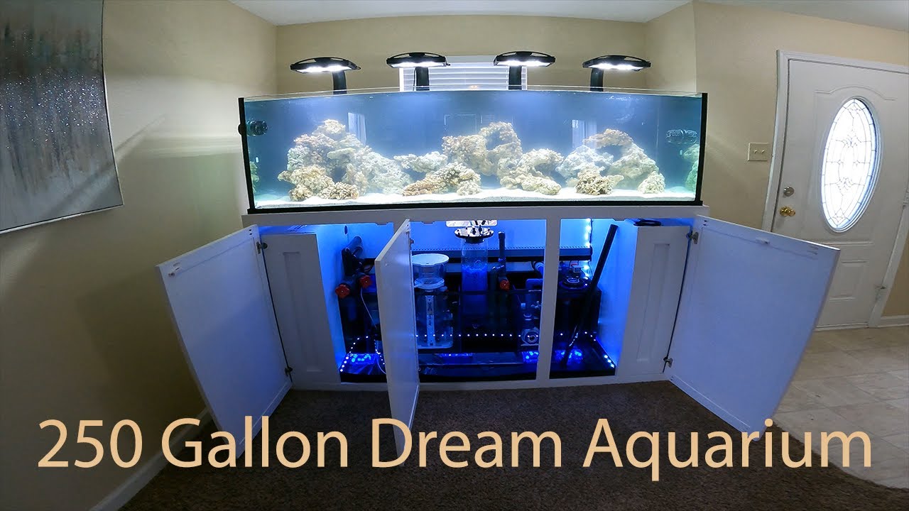 250 Gallon dream tank getting setup - YouTube
