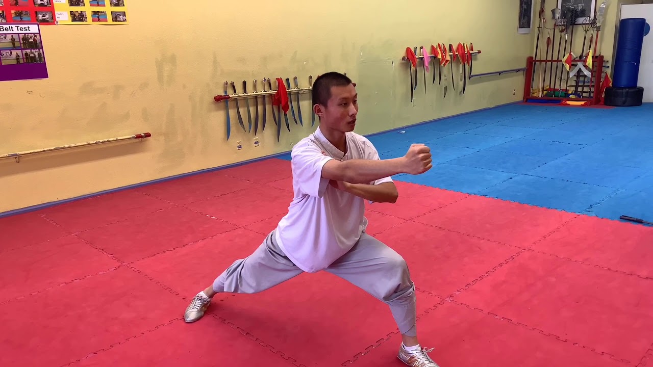 Learning Southern Fist Step by Step - YouTube