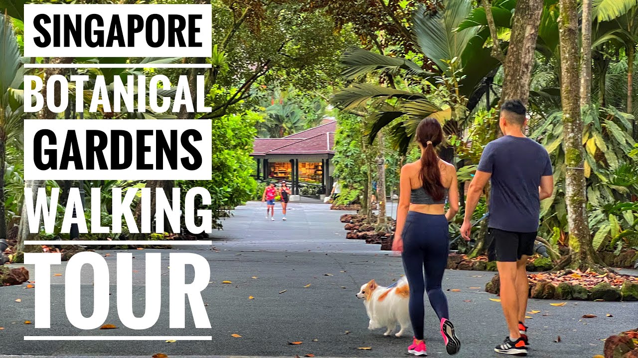 RELAXING WALK AT SINGAPORE BOTANICAL GARDENS 2023|NATURE BEAUTY OF ...