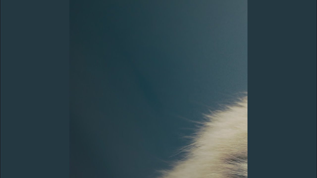 Cornelius Rhodes Fidel Crowell Monte Whaley Cornelius Rhodes - YouTube