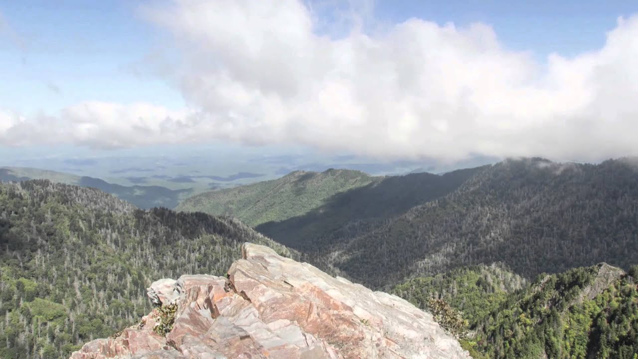 Charlies Bunion Timelapse - YouTube