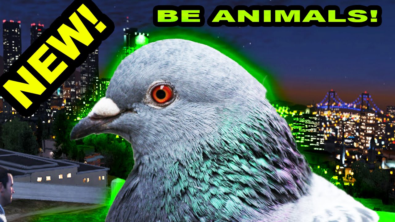 GTA 5 PS4 - PLAY AS ANIMALS! Gameplay Easter Egg & Peyote Locations ...