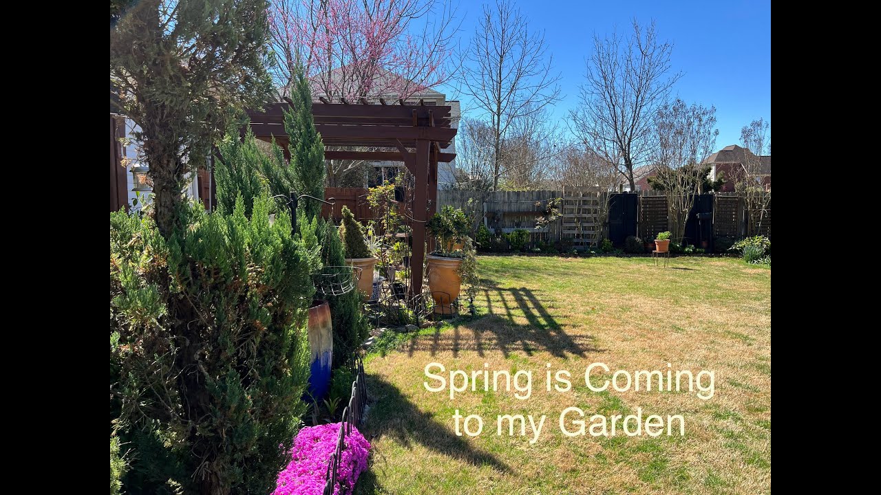Spring is Coming to My Garden - YouTube