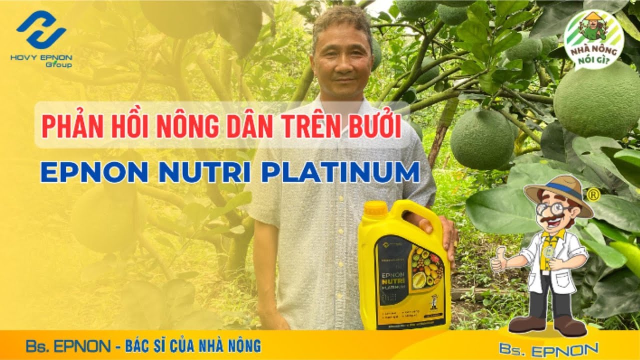 Phân bón nuôi trái - phản hồi nông dân trên bưởi - Hovy Epnon - YouTube
