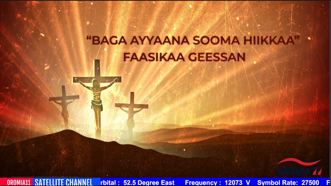 OROMIA11: BAGA AYYAANA FAASIKAA( SOOMA HIKKAA GEESSAN) - YouTube