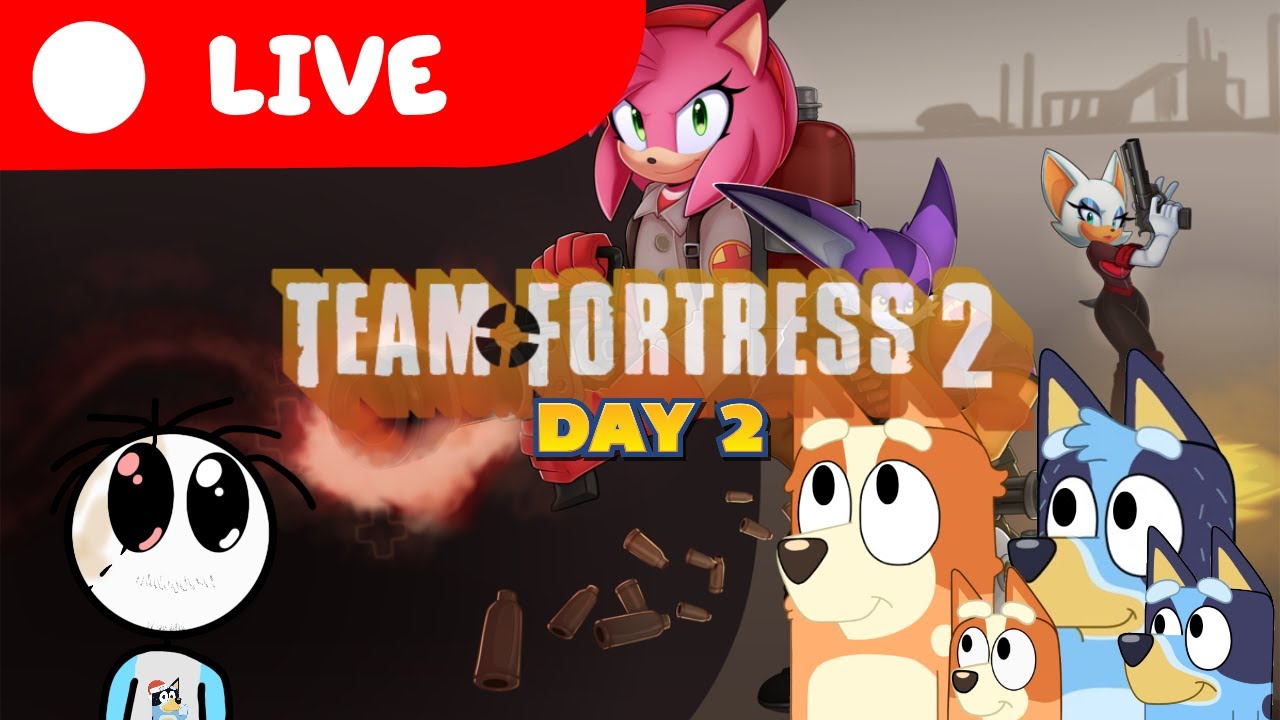 Day 2 playing TF2 with sonic mod (with bots) - YouTube