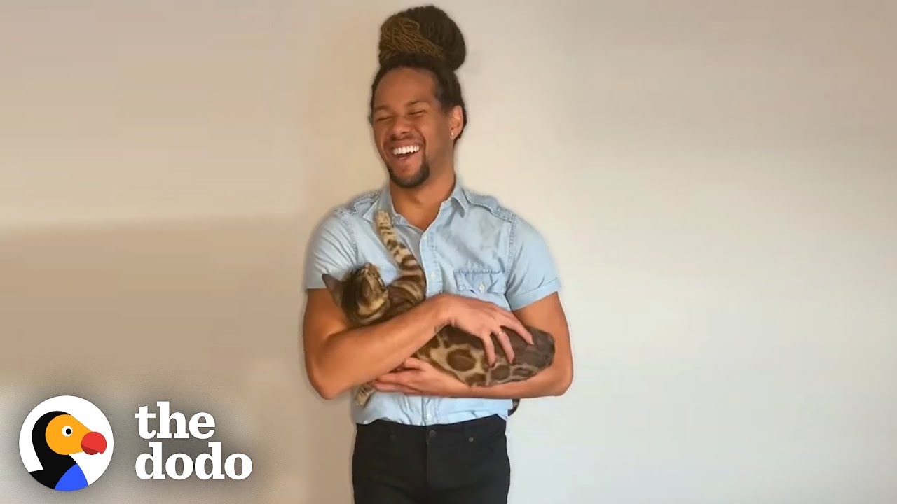 Cat Has To Be With His Dad For EVERYTHING | The Dodo - YouTube