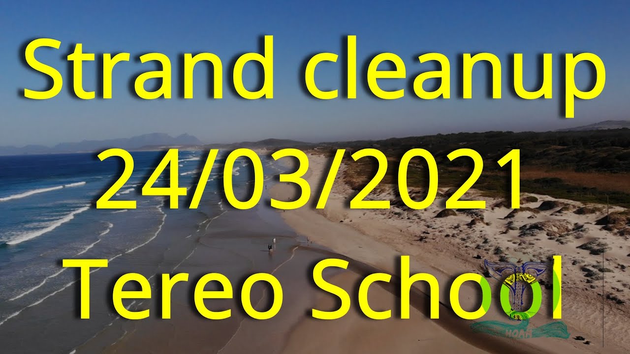Tereo School - YouTube