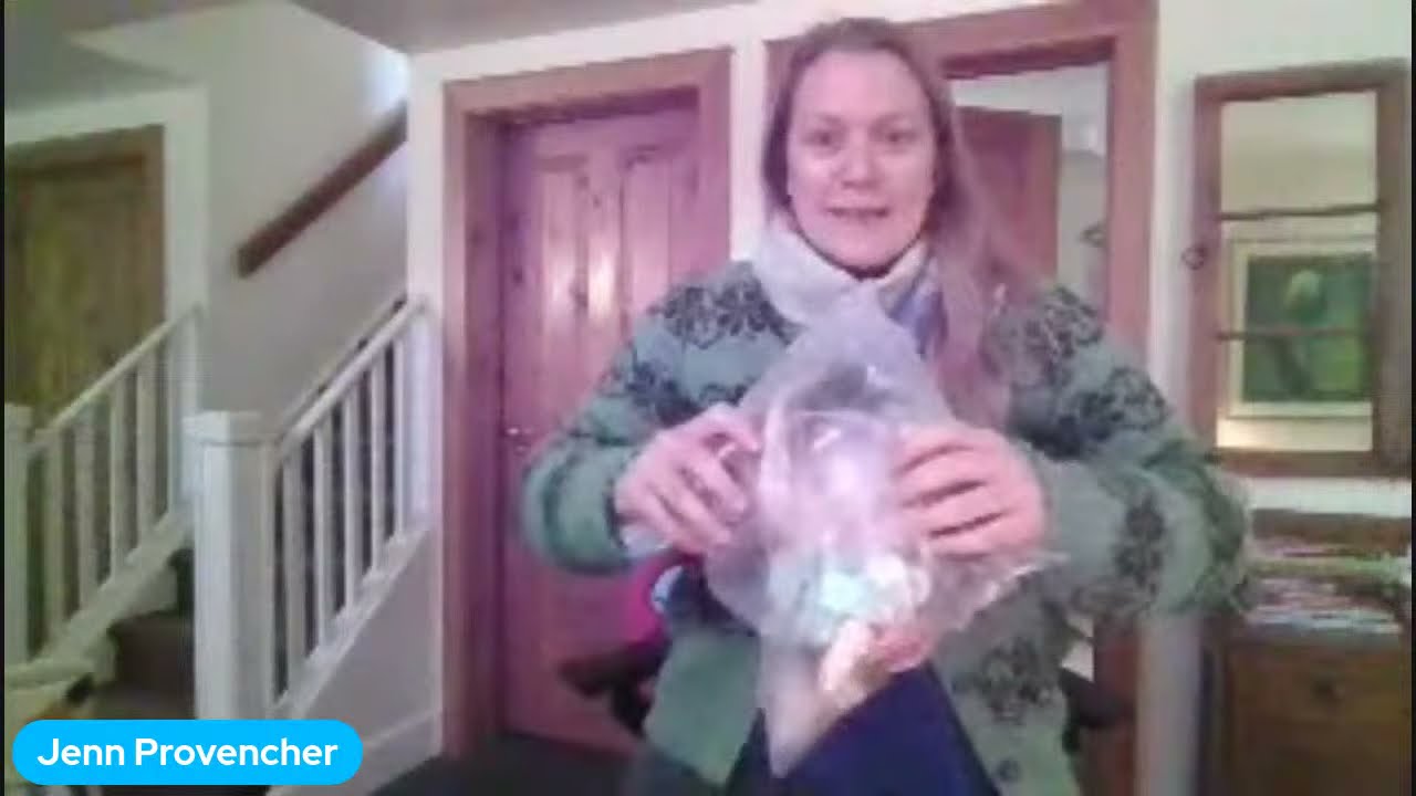 Jennifer Provencher | Head of the Wildlife Health Unit - YouTube