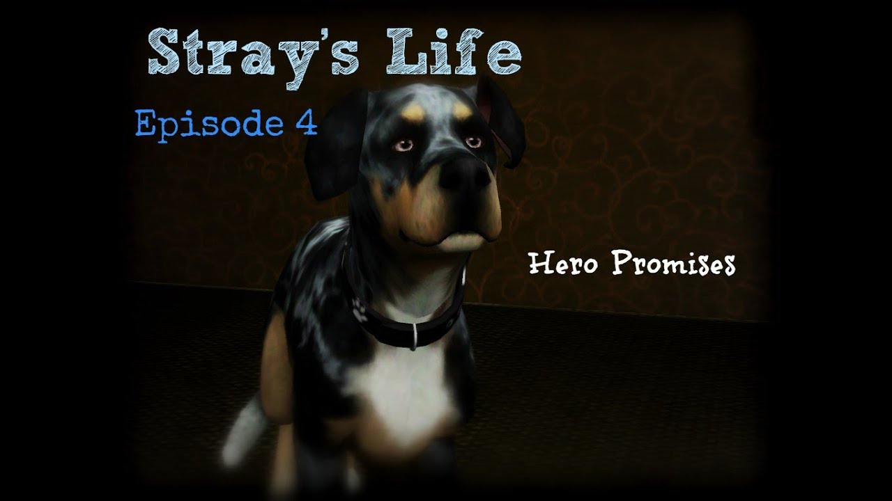 Stray's Life~Episode 4 - YouTube