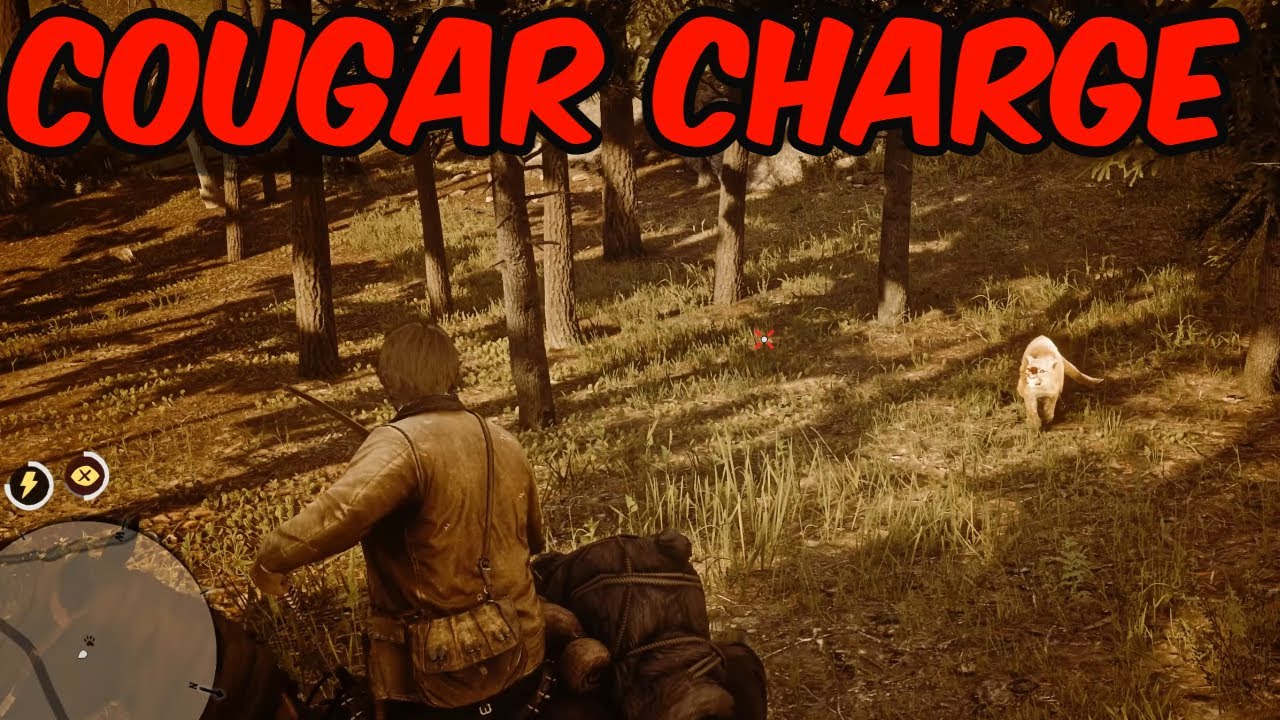 Cougar charge, easy hunting RDR2 - YouTube