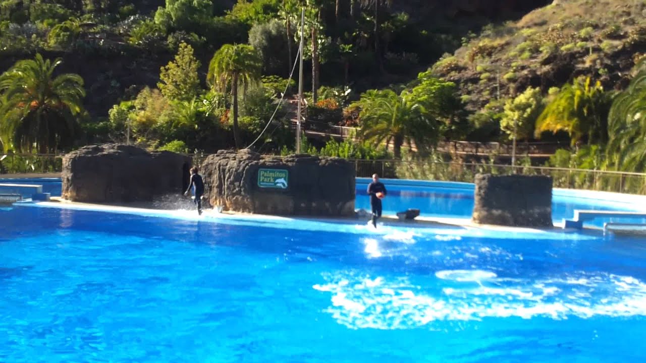 De seje dyr 3 - YouTube