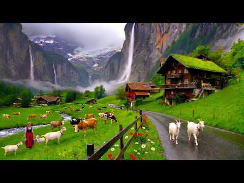 Peaceful Life in Swiss Fairytale Villages - Relaxing Rainy Walk in Countryside