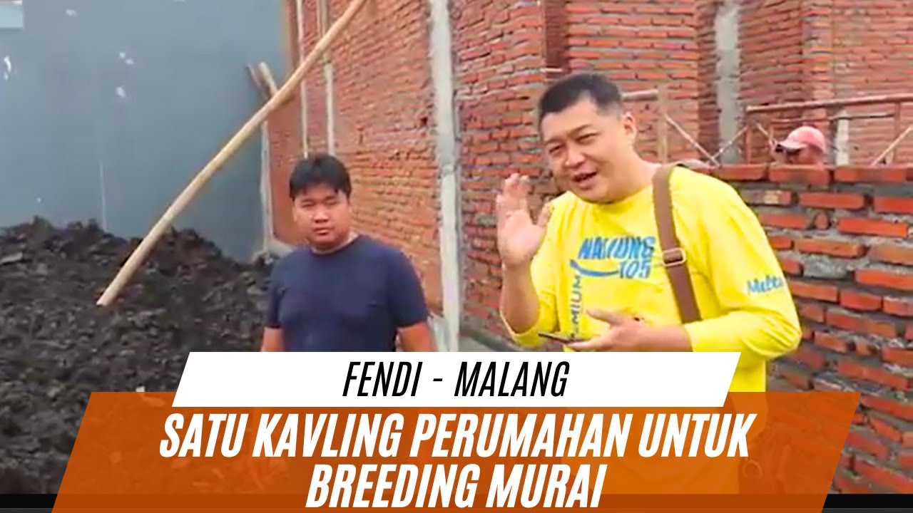 Reupload - Fendi Malang Bangun 1 Kavling Perumahan Untuk Breeding Murai ...