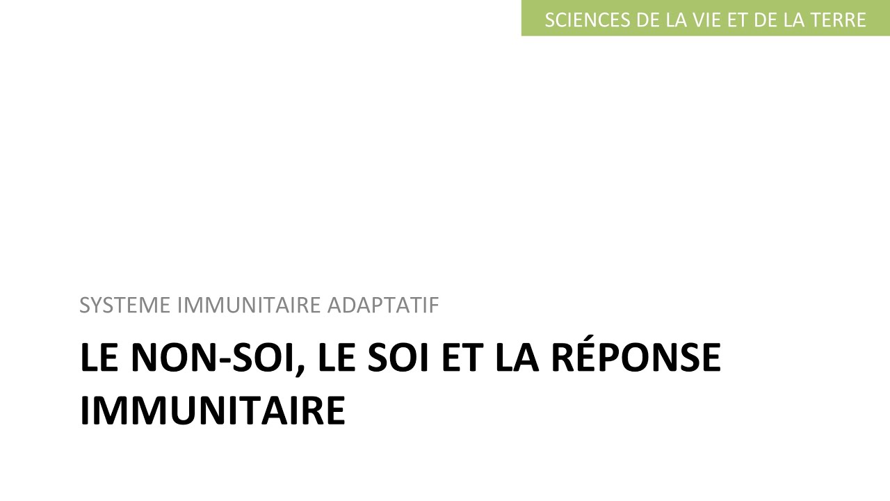 Système immunitaire adaptatif partie 1 - YouTube