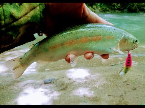 Rapala vahşeti ( bu rapalaya balıklar deliriyor)