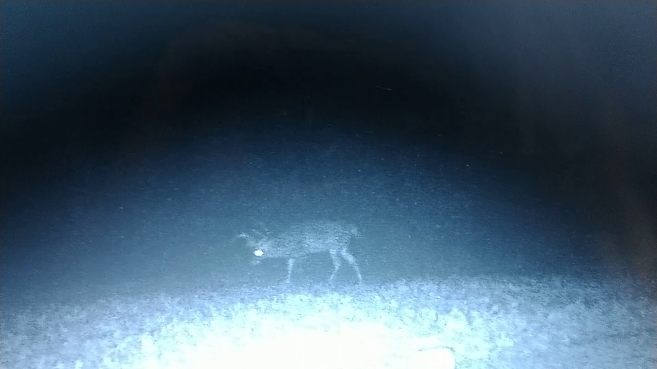 November 6, 2017 - YouTube