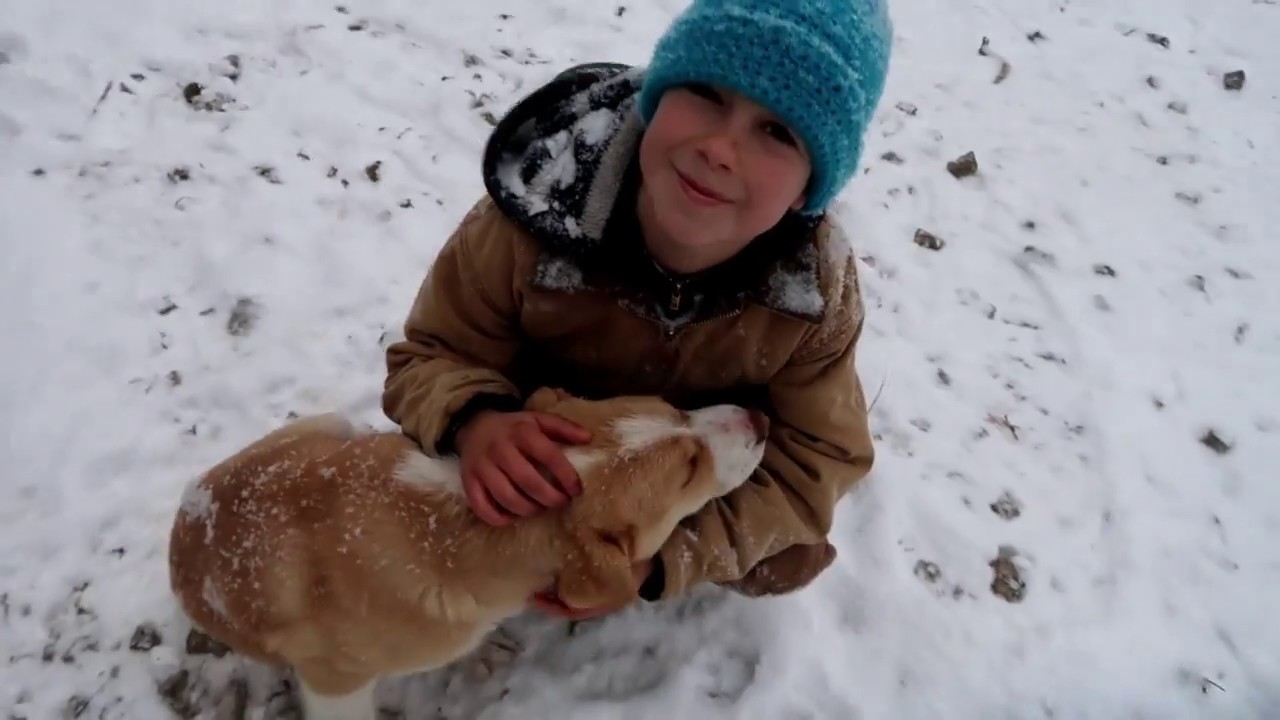 SNOW DAY + Another Giveaway! (Don't miss Mama climbing into a little ...