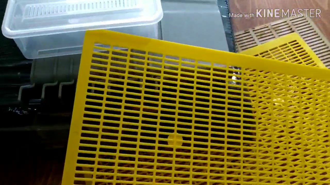 Посилка від Beecity - YouTube