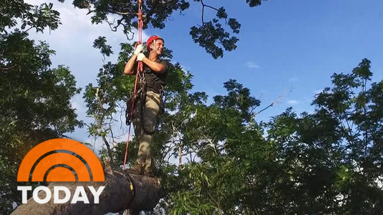 TODAY Takes You Up A 180-Foot Tree In The Amazon | TODAY - YouTube
