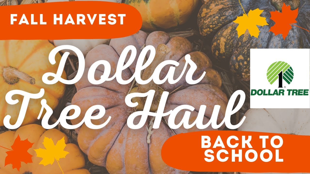 ALL NEW FALL & BACK TO SCHOOL DOLLAR TREE HAUL | EVERYTHING NEW | $1.25 ...