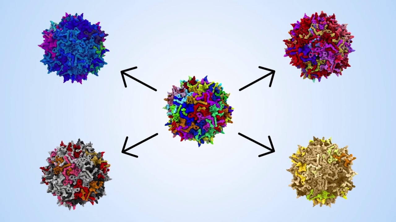 Innovations in gene therapy for the treatment of OTC deficiency - YouTube