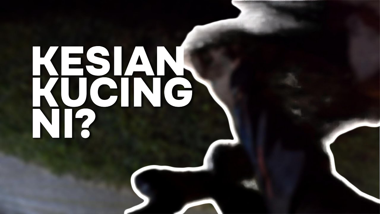 EP 37 | KUCING | YAMAHA NVX v2 - YouTube