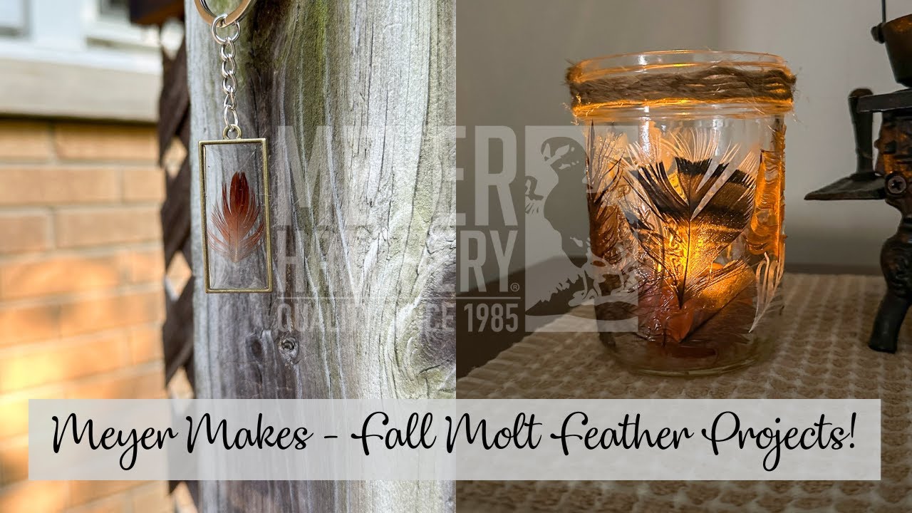 Meyer Makes - Fun Fall Molt Feather Projects! - YouTube