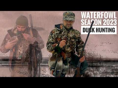 Ördək ovu, fevral 2023 Duck hunting Охота на уток в феврале 2023