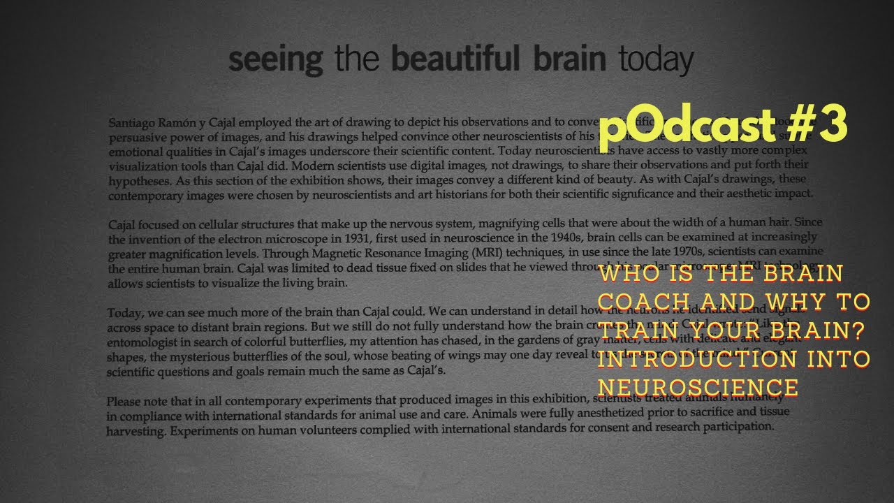 #3 Talking to a Brain Coach. How neuroscience can help you to increase ...