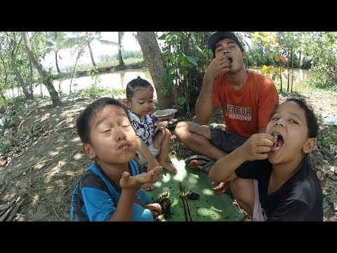 Bakar  Ikan Betok Hasil Tangkapan Wuwu || Adit Bocil Bocah Ngapak Gokil