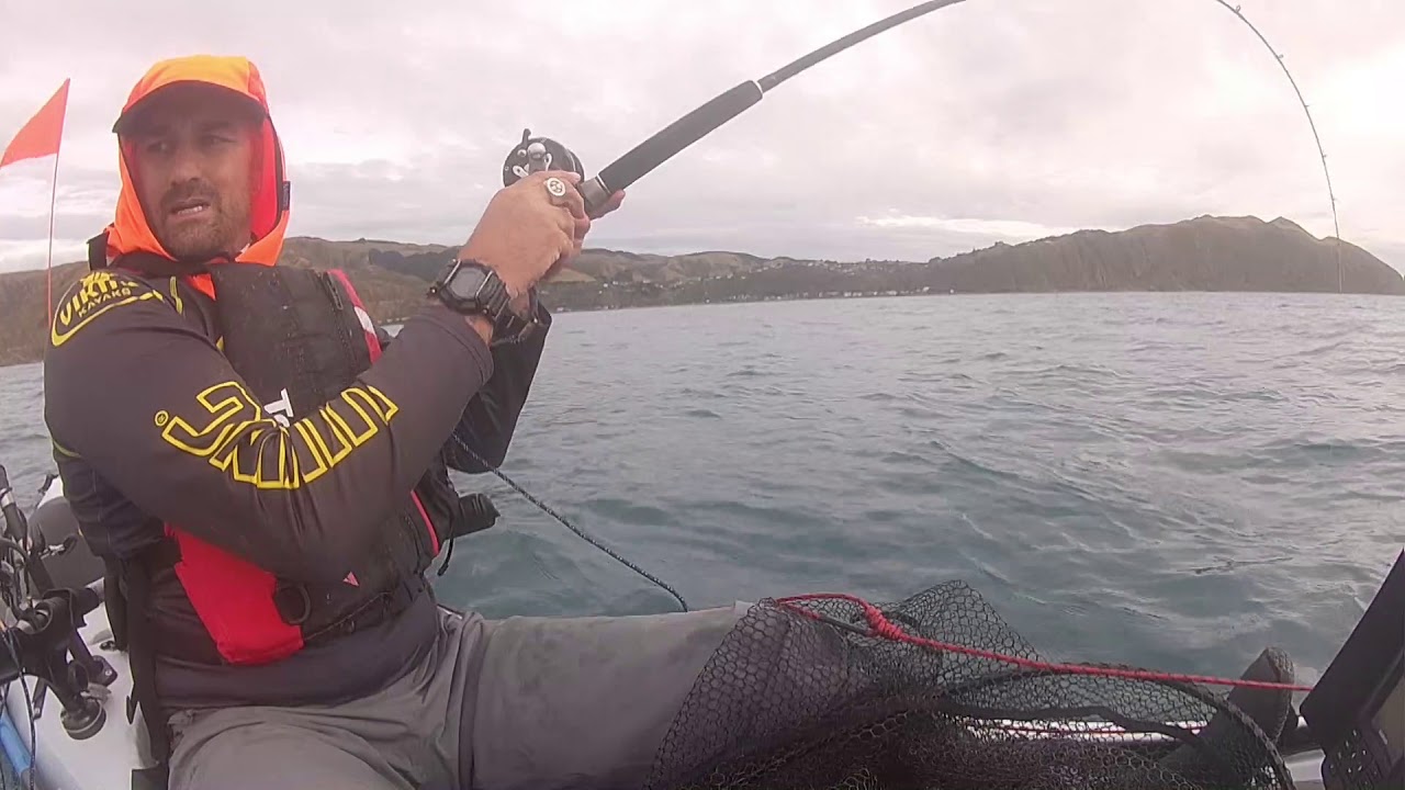 Huge 25lb Snapper I caught at Pukerua Bay Wellington 8/1/2020. - YouTube