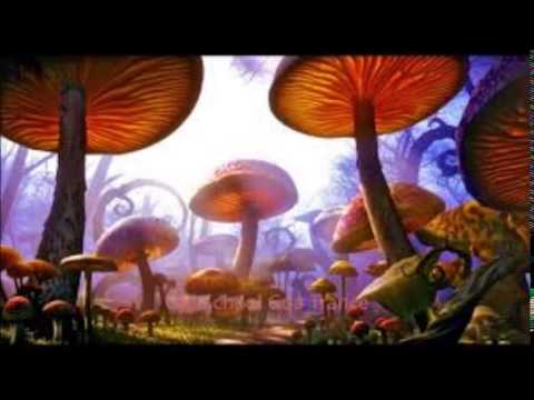 Live Mix by Godi Neelix Ghost Rider Fabio and Moon Krama Sven Snug ...