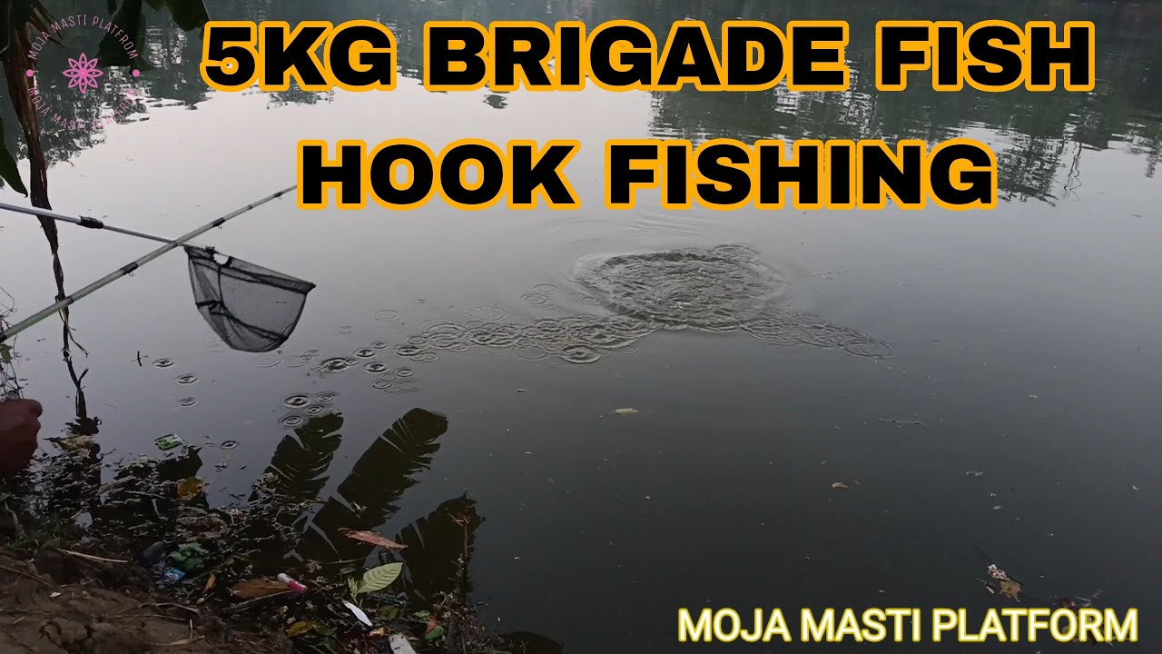 5KG BRIGADE FISH CATCHING BY VILLAGE BOY 😱😱 #fishing #fish # ...