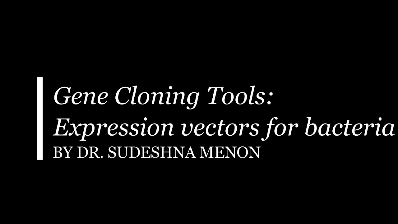 Gene Cloning Tools Expression vectors in Bacteria - YouTube