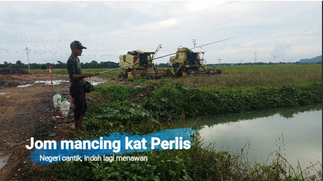 Memancing Ikan Darat Di Perlis - YouTube